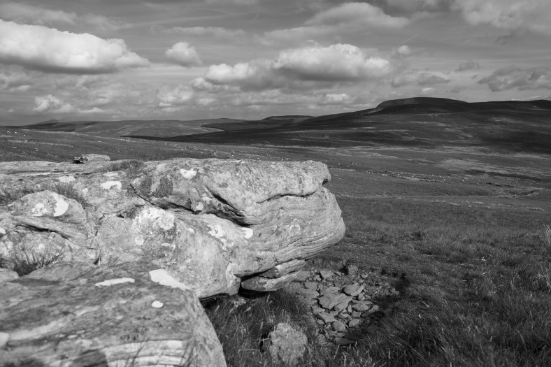 Studio Diary; The Landscape Project, part 6, Review so far… | Rebecca Buck