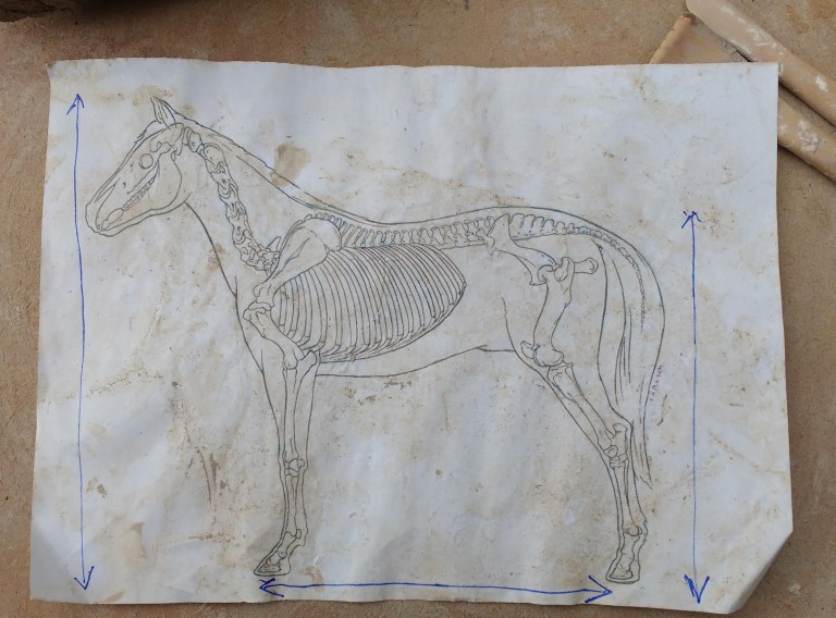 How to make Animals using clay armatures. | Rebecca Buck